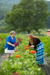 Pick-Your-Own Fruit at Chiles Peach Orchard in Crozet, Virginia