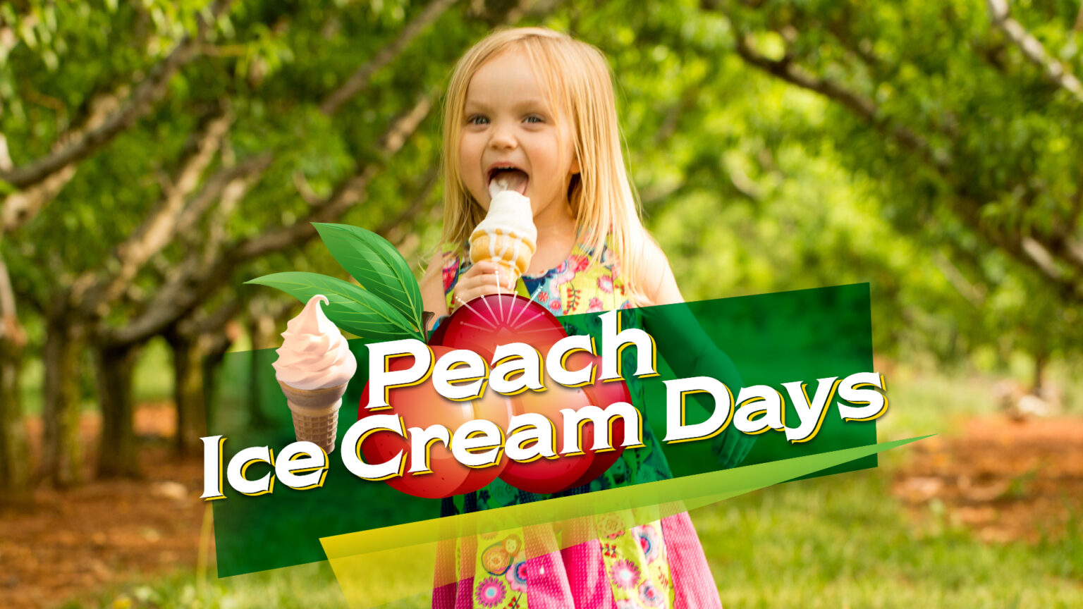 Annual Homemade Peach Ice Cream Days Event at Chiles Peach Orchard