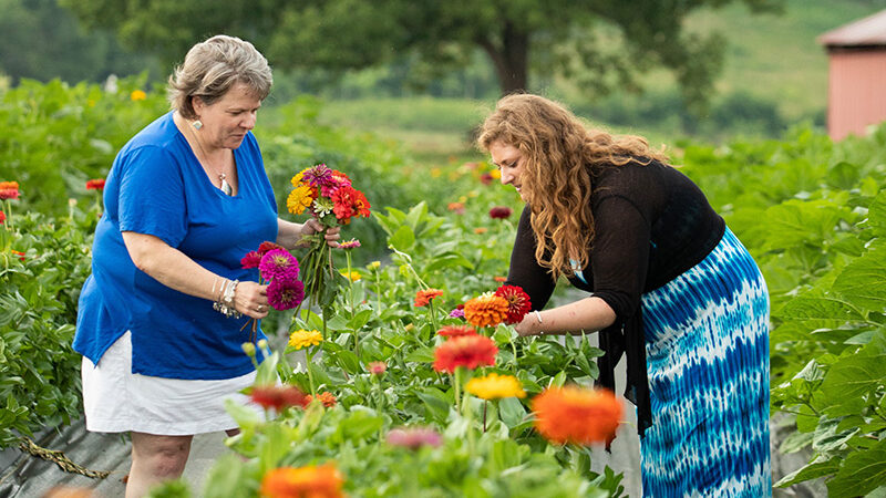 Pick-Your-Own Fruit at Chiles Peach Orchard in Crozet, Virginia