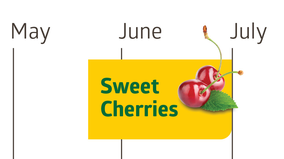 Spring Valley Orchard in Afton, VA | Chiles Family Orchards