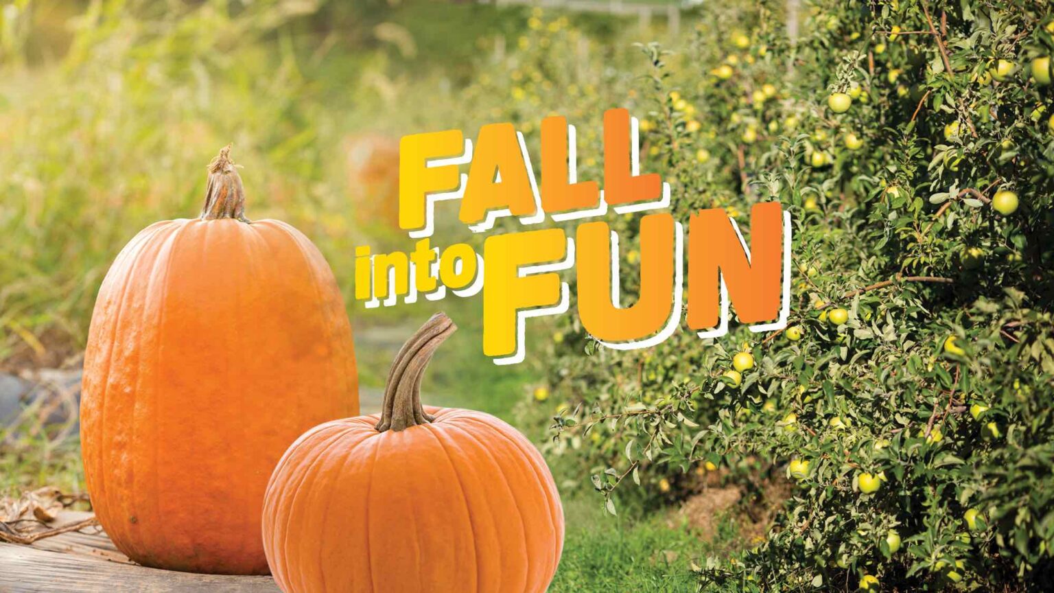 Fall Into Fun | Sept. 20-21, 2025 | Chiles Peach Orchard