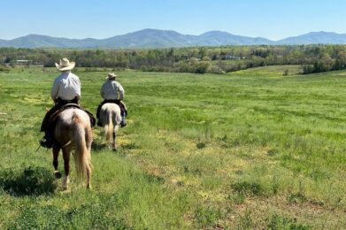 Plan Your Visit | Chiswell Farm & Winery | Greenwood, VA